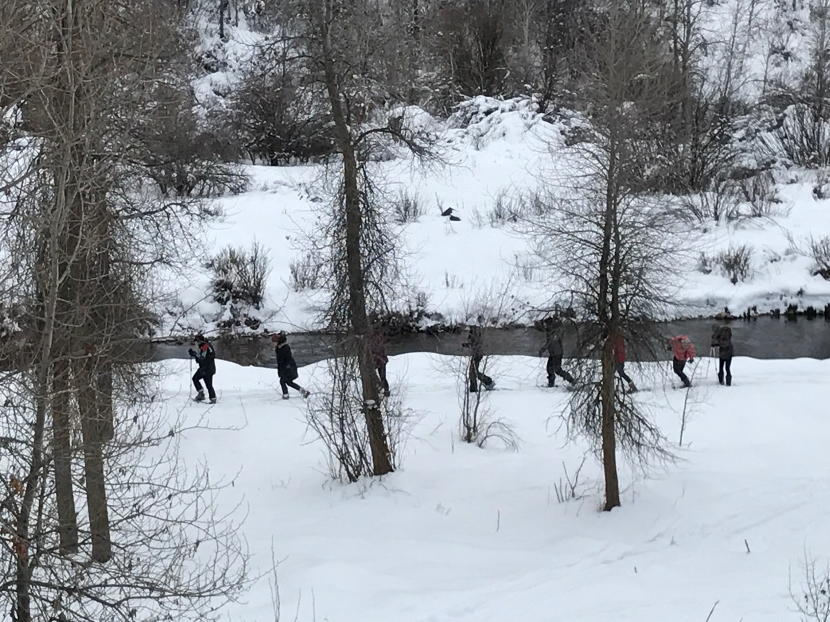 Fresh Pow = Snowshoe – Let's See Utah & Beyond……