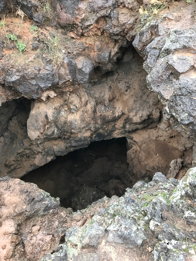 Fresh Pow = Snowshoe – Let's See Utah & Beyond……